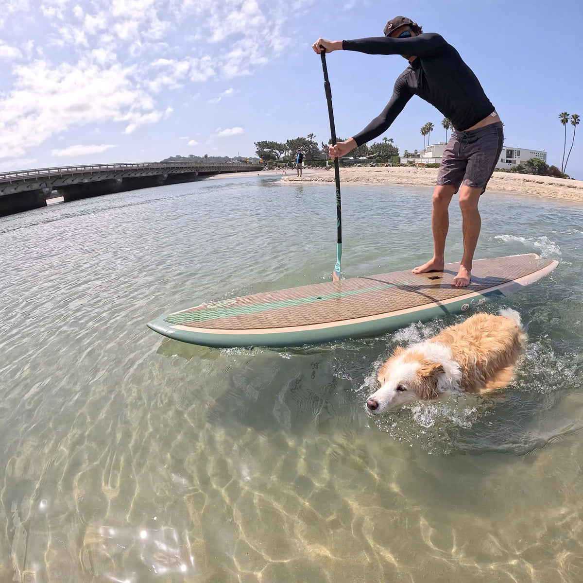Paddleboards| Kite Paddle Surf